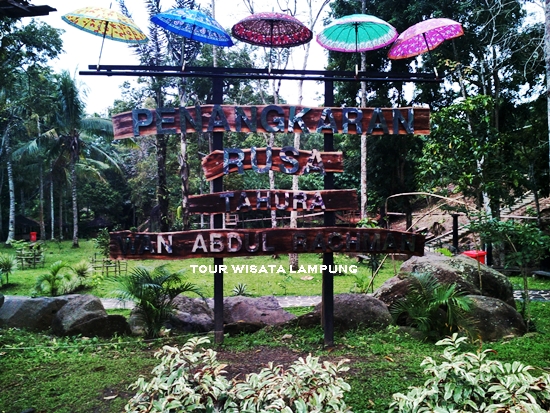 Penangkaran Rusa Tahura Wan Abdul Rachman ~ Elora Tour Wisata Lampung