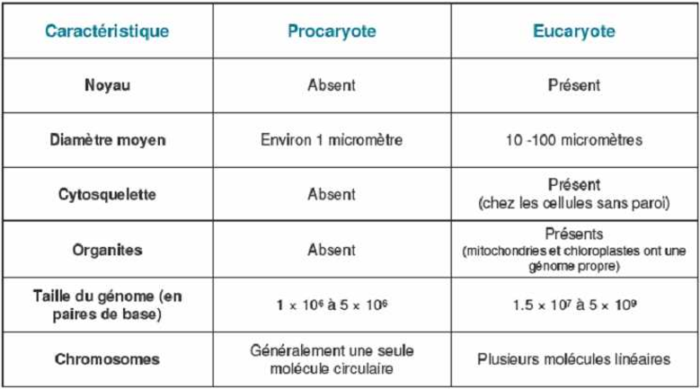 Organisation générale de la cellule | Bio faculté