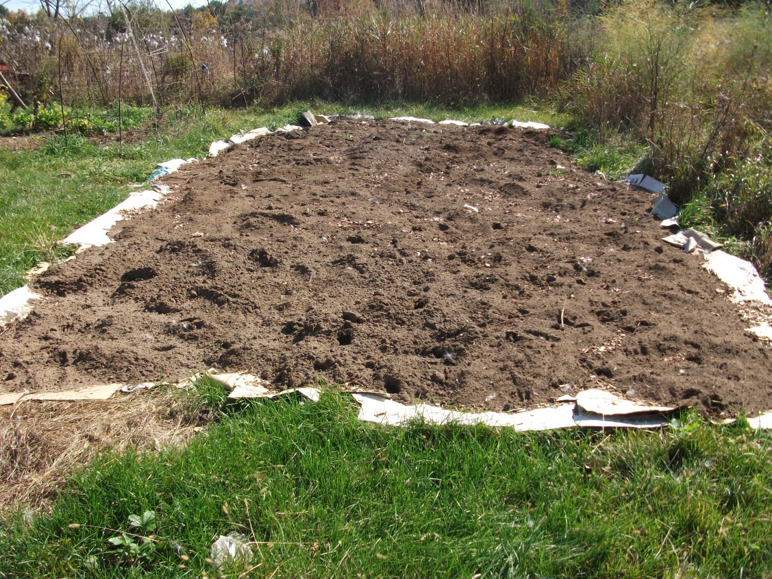 Cold Hands Warm Earth: Cardboard Garden (a.k.a. lasagna garden)