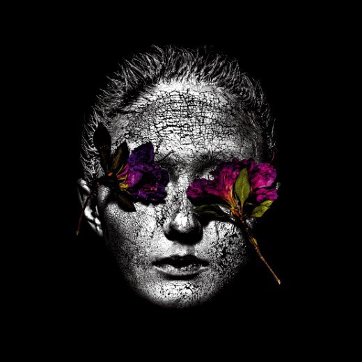 Wisdom Photography by Gabriel Wickbold | Design Arena