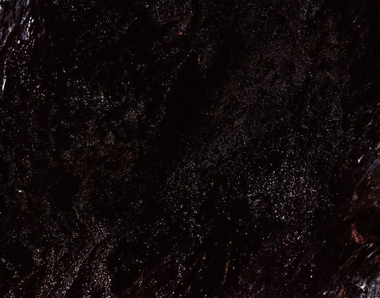 Secret Lexicon: Landscape: Robin Friend