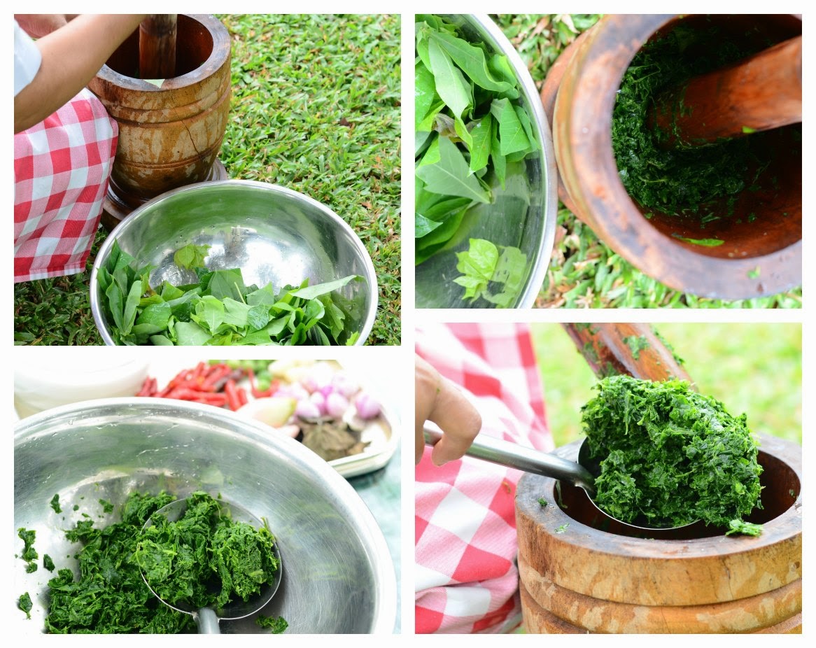 Indonesian Medan Food: Daun Ubi Tumbuk (Pounded Cassava Leaves in ...