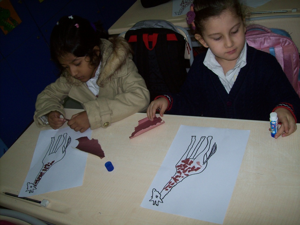 ITHS Main Campus 2011 - 2012 Academic Year Archive: KG1 Classroom Activity