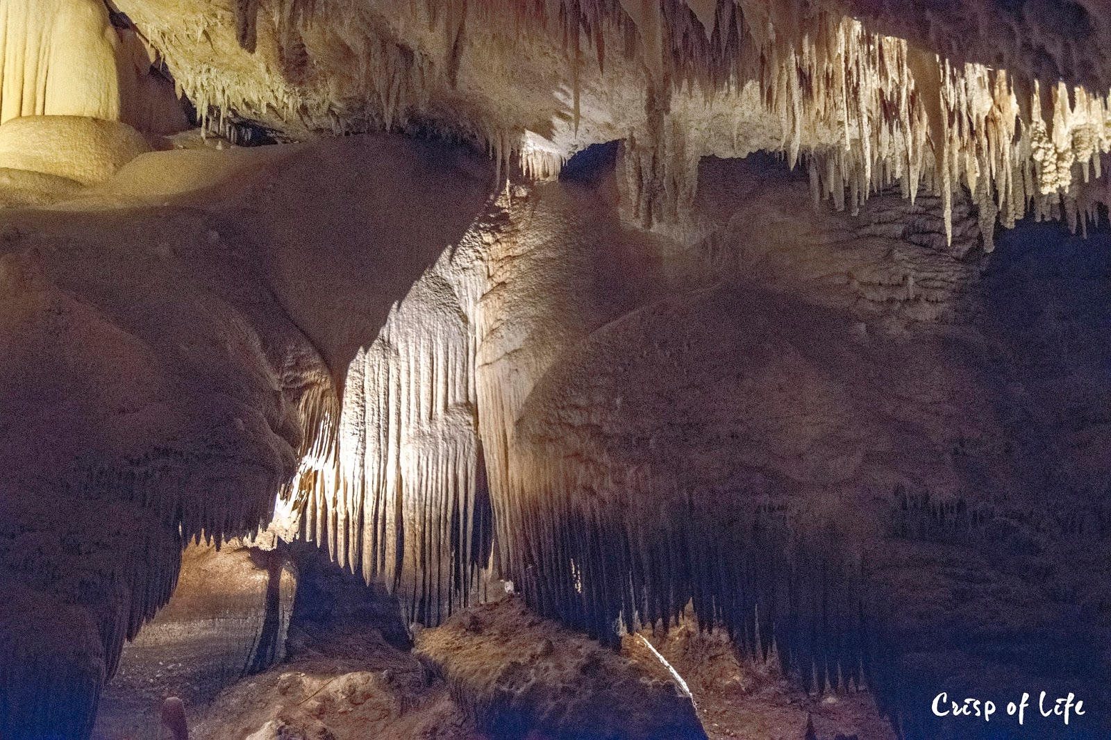 Western Australia Day 5 - Lake Cave, Mammoth Cave, Jewel Cave, A Maze'n ...