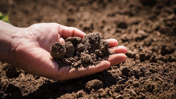 7 Sifat Fisika Tanah - Geograpik