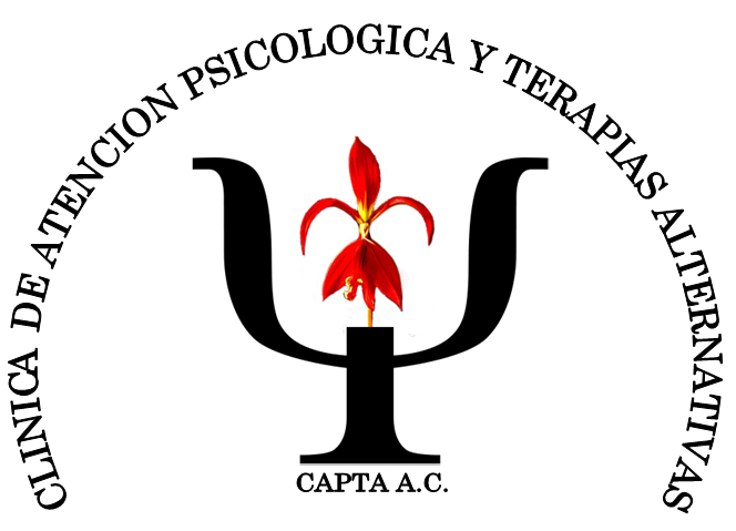 CAPTA: NUESTRA MISION Y VISION