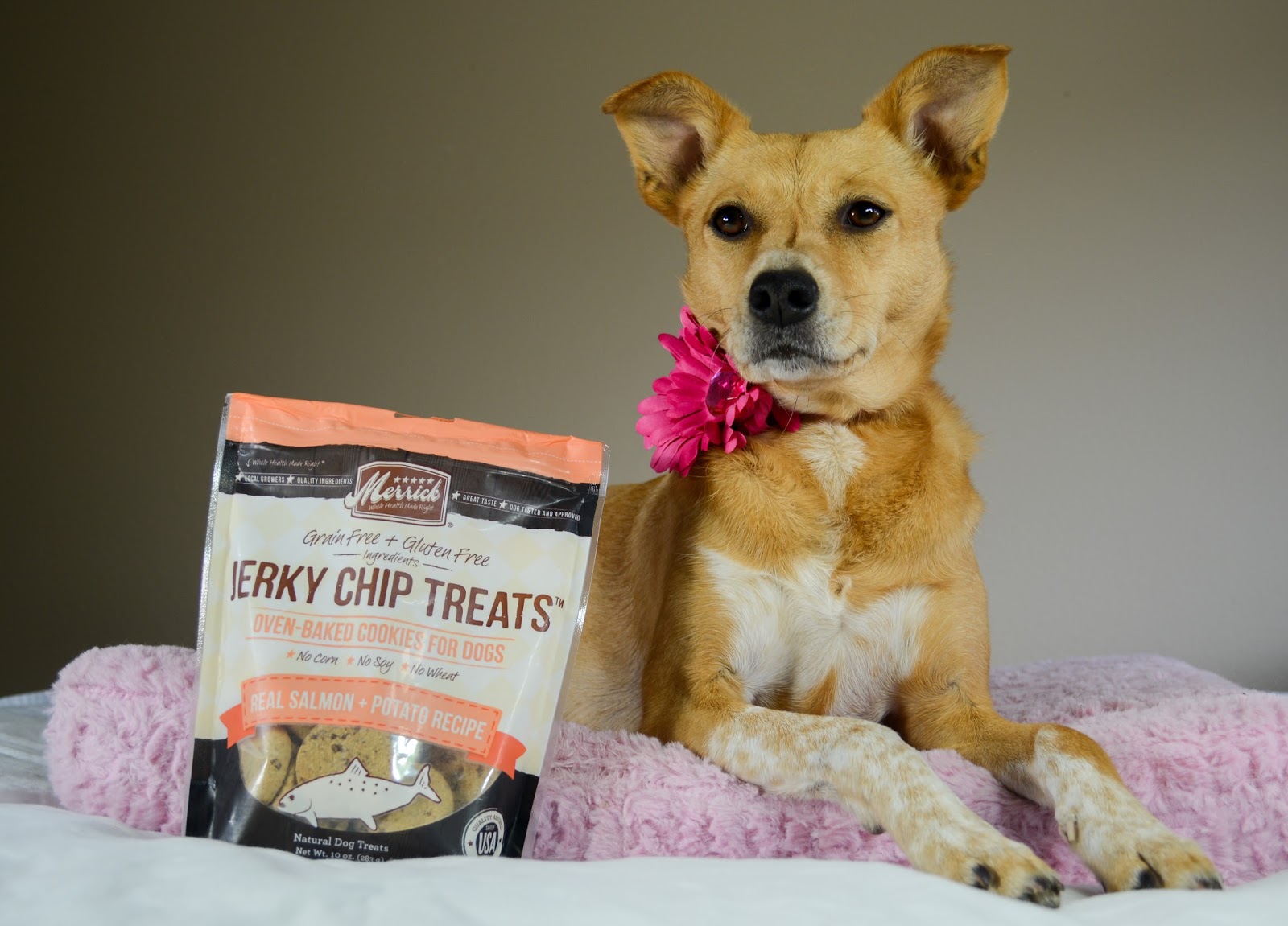 ZoePhee: Merrick "Jerky Chips" Review