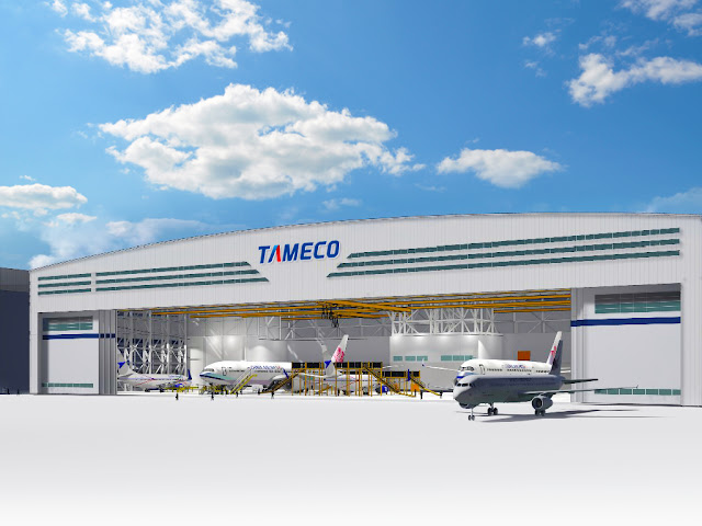 ♦ TAMECO - 打造頂尖飛航安全體系 ~ 天將品牌設計(Blog)