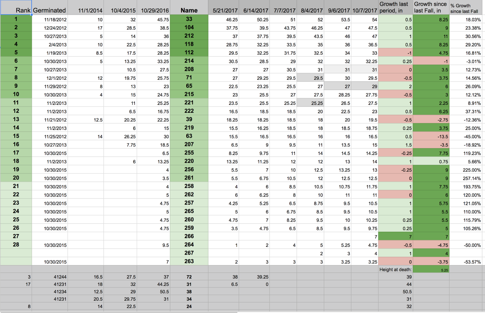 Growing a Sequoia in Zone 5: 2017