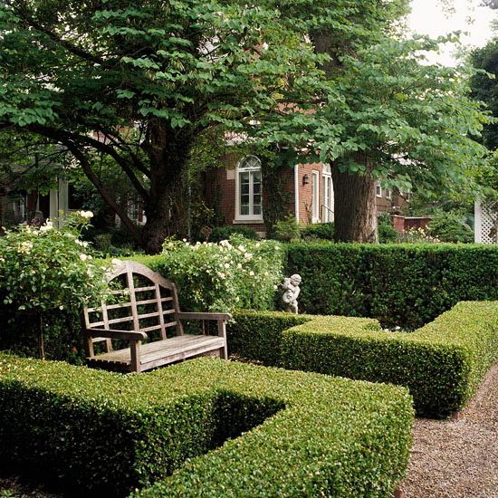 The Wonders of Doing: Boxwood Hedges