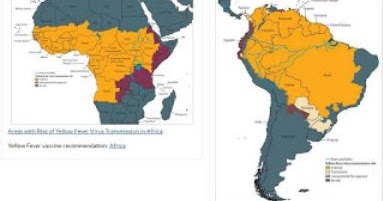 Avian Flu Diary: Fiocruz Institute: Sequencing Of Yellow Fever Virus ...