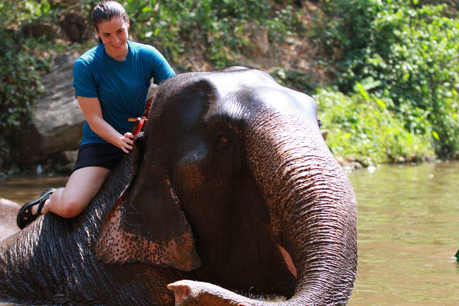 Living the Bucket List Life: #111 Blow into the Trunk of an Elephant