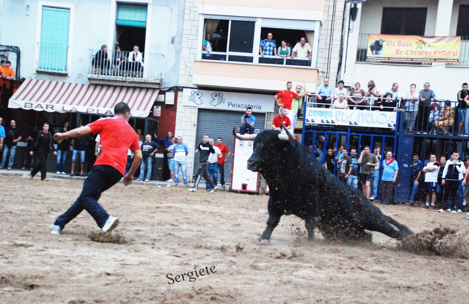 ESPAI TAURÍ: San Antonio, Moncofa