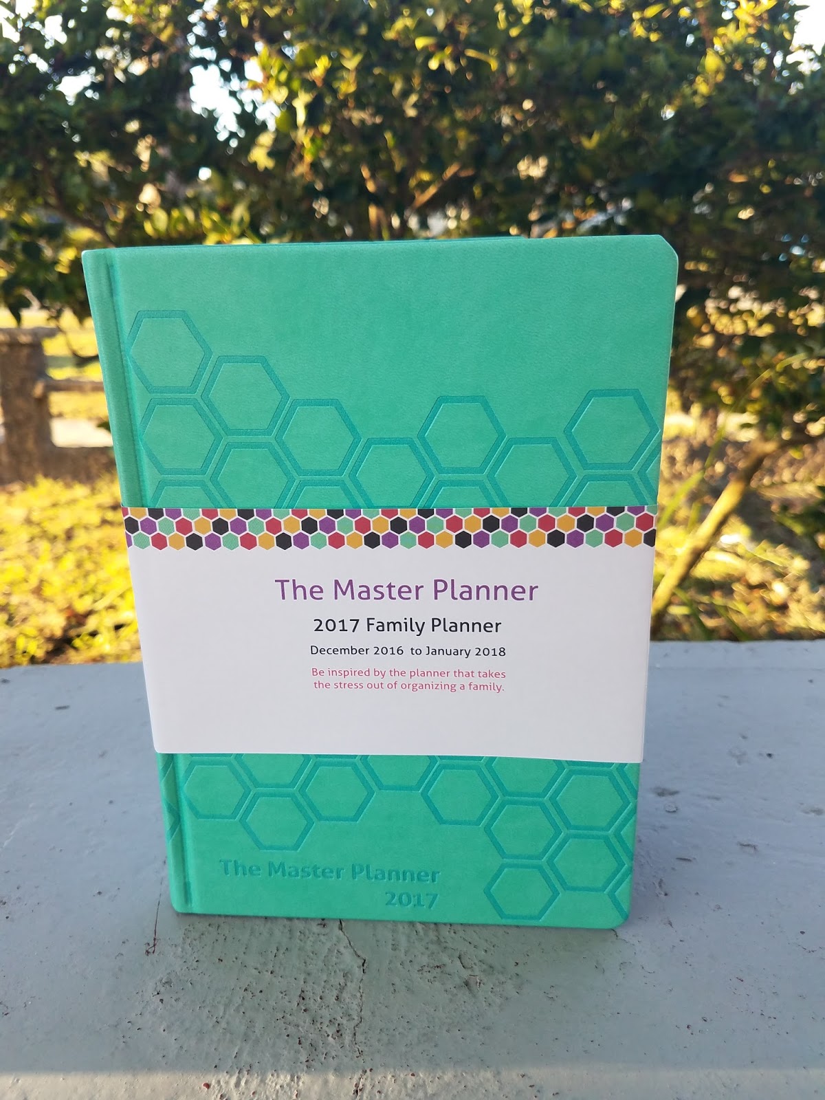 The ABCD Diaries: Holiday Gift Guide: The Milestone Design Master ...