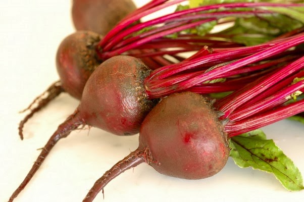 Şifalı Bitkiler Ansiklopedisi Lokman Hekim : Pancar Ve Pancarın Faydaları