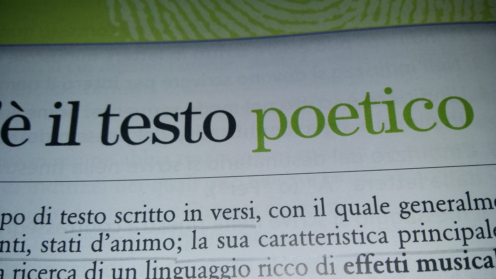 Il testo poetico