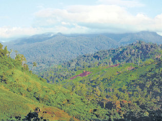 entornos / ... Nicaragua, volcán y frontera: Reserva de la Biosfera Bosawas