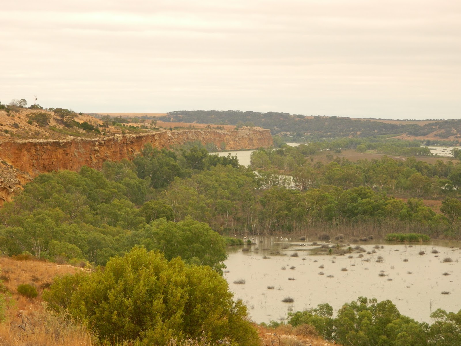 All Aussie Adventures: OFF TO RENMARK AND PLUSHES BEND