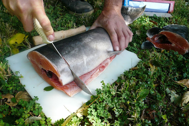 Countryman: Foraging California's Wild Side: How to Cut a Large Fish ...