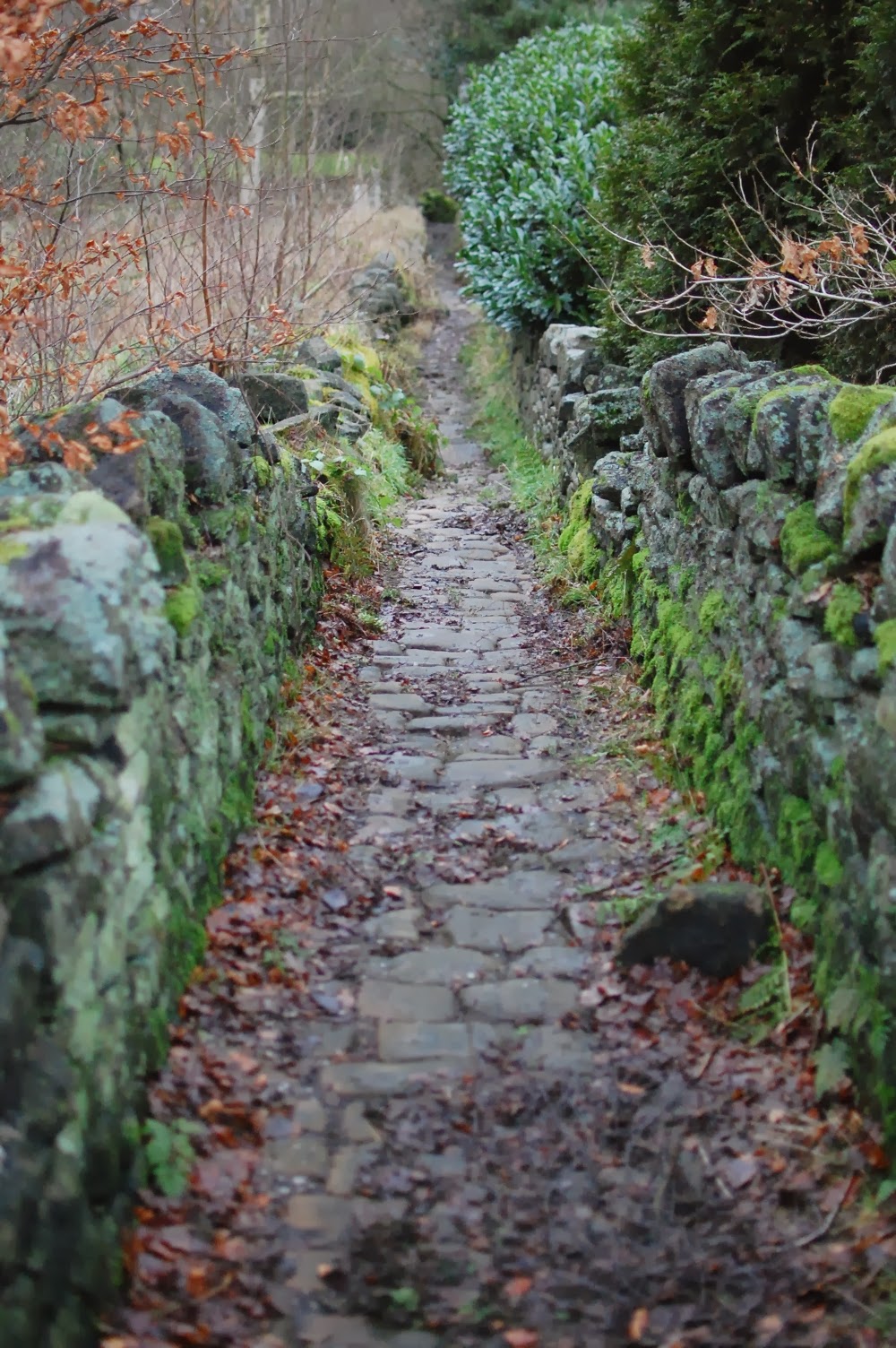 Hannah Nunn: Wonderful woods