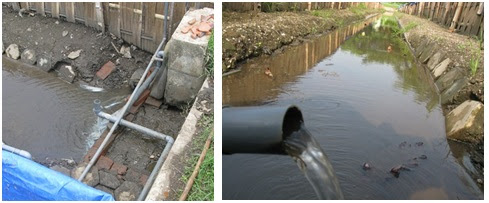 Cara Berternak Cacing Sutra bagian 4 ~ Portal SiapTernak