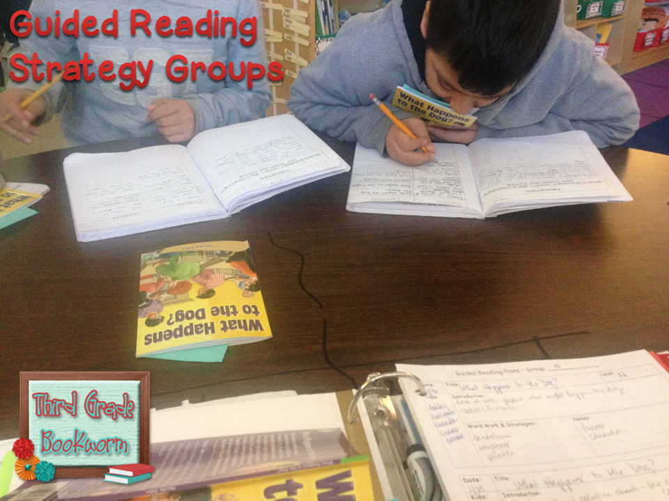 Reading in the Wild: Creating a Workshop Schedule That Works for You ...