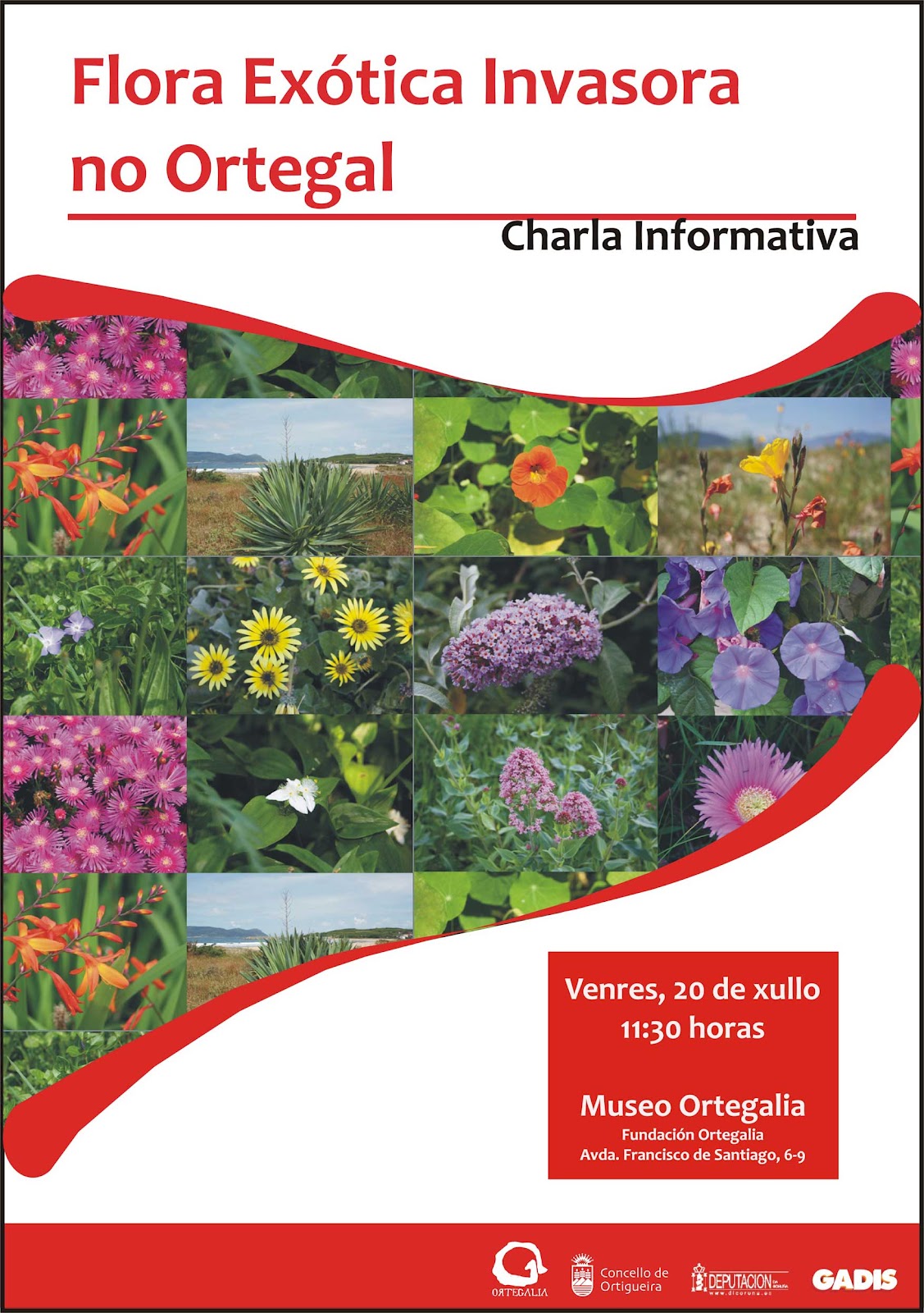 Ortegalia: FLORA EXÓTICA INVASORA NO ORTEGAL