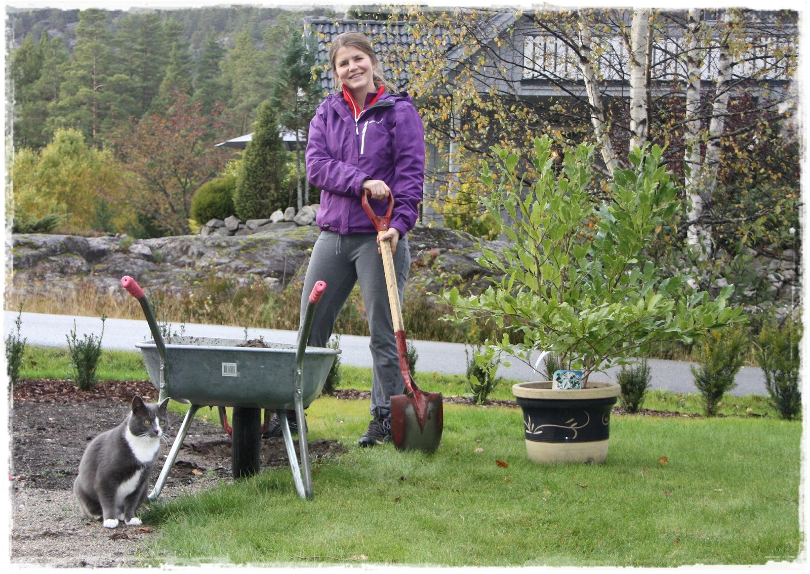 I hagen ved skauen: Nytt år - Nye drømmer
