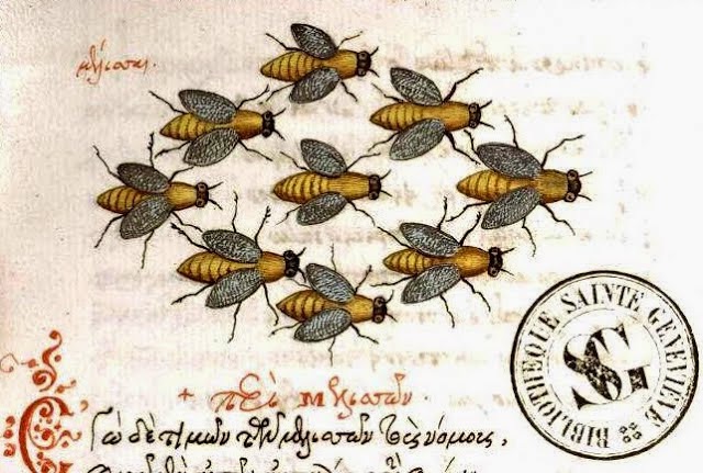 Happy Catholic*: Worth a Thousand Words: Medieval Honey Bees
