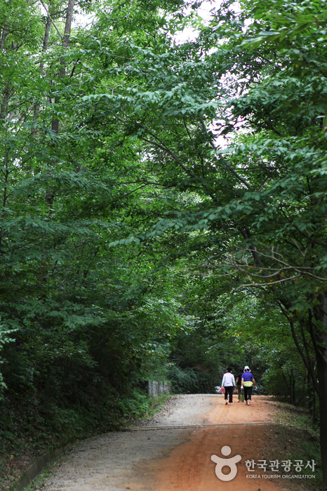 Everything........Korea! Korean! :): Gyejoksan Mountain Red Clay Trail ...