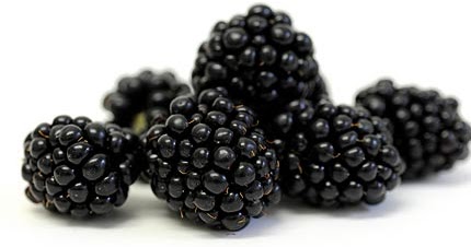 VIVEIRO DO LIMA: AMORA