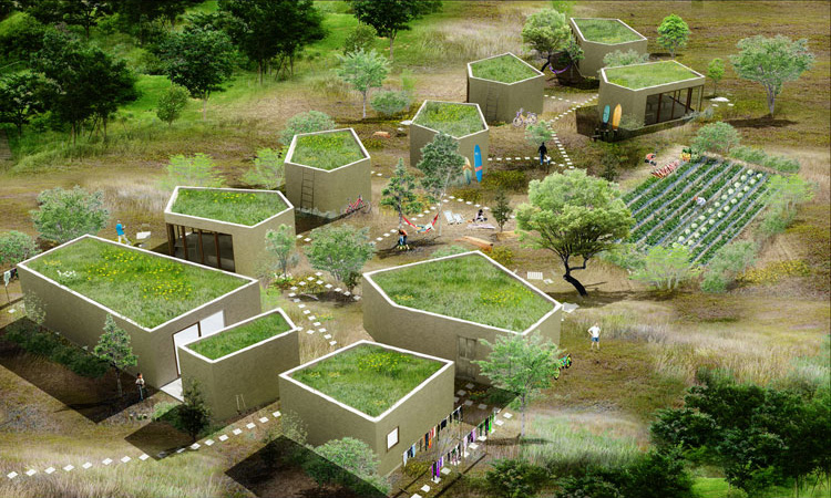 Natural Modern Architecture