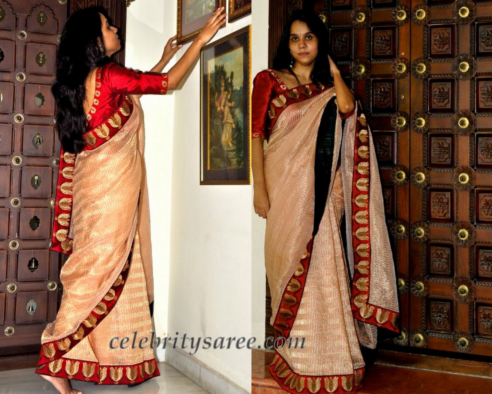 Peach Tissue Sari - Saree Blouse Patterns