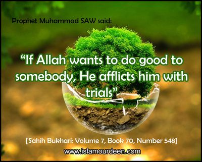 THE COMPANION: The Best of Ahlul Hadiths - Abu Hurairah RA