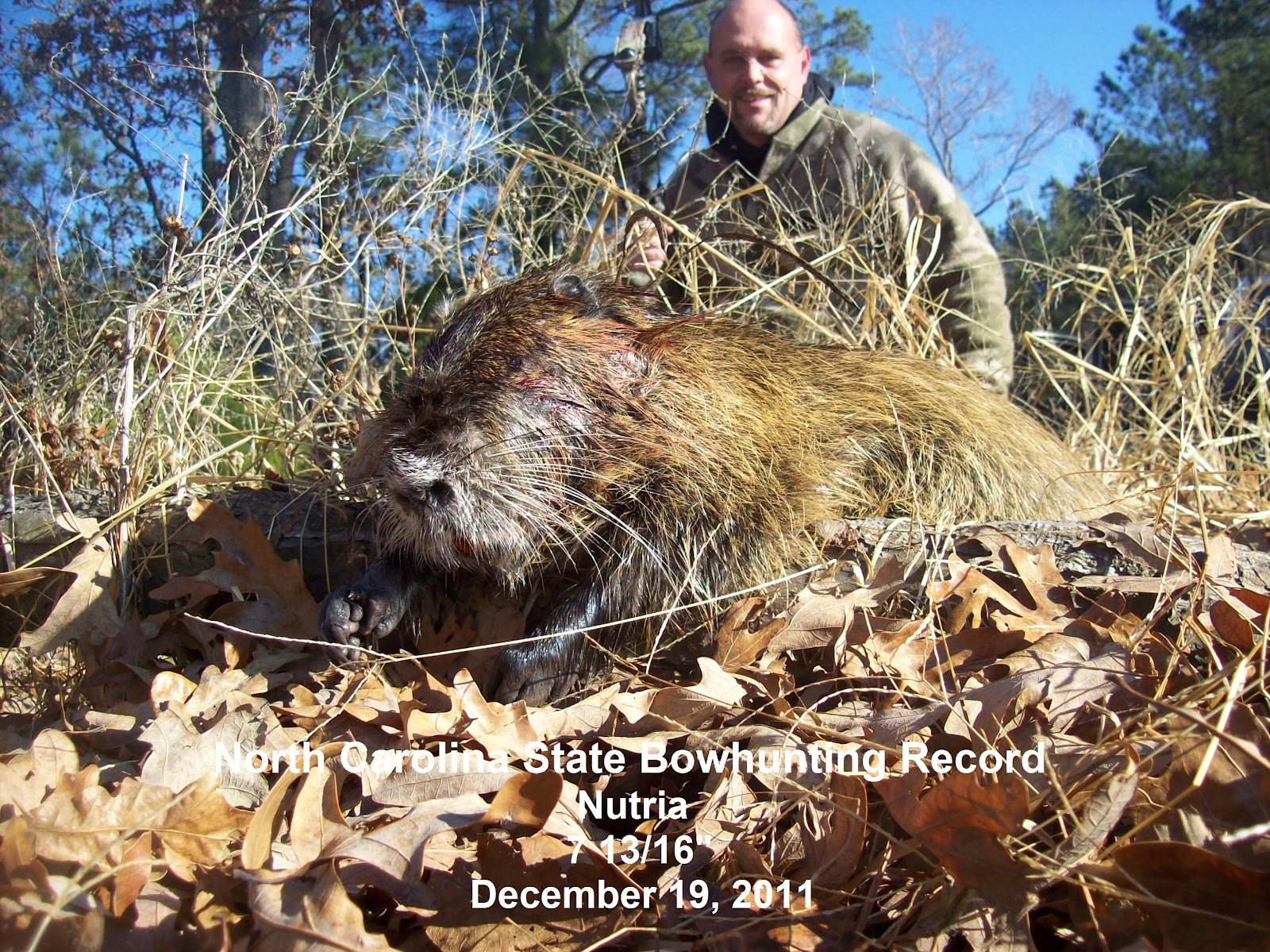 Give 'em the Shaft: Swamp Rats