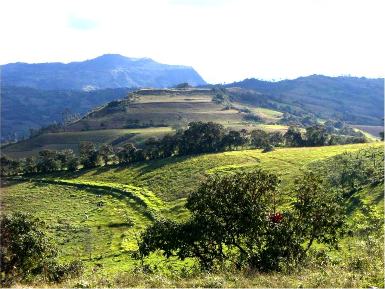 La tumba doble de Pacopampa
