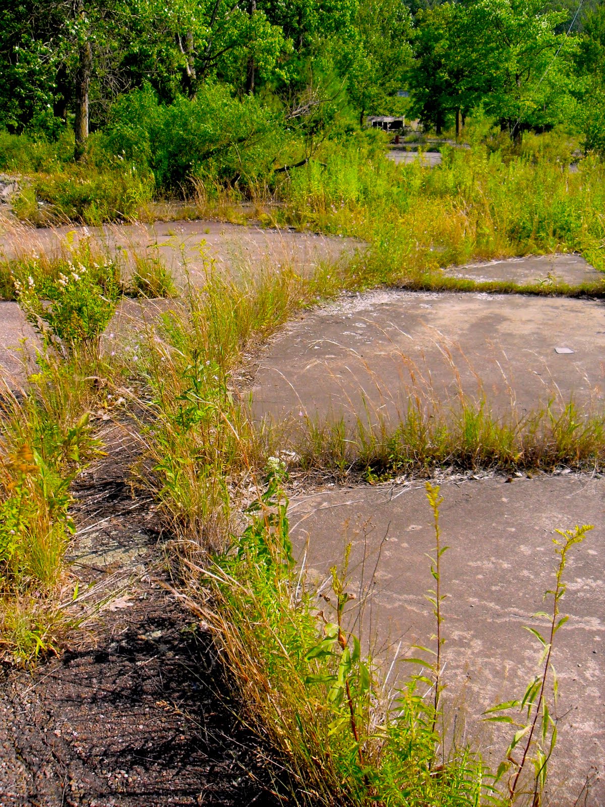 ART SKOOL DAMAGE : Christian Montone: Memento Mori: The Ghost Of Angela ...