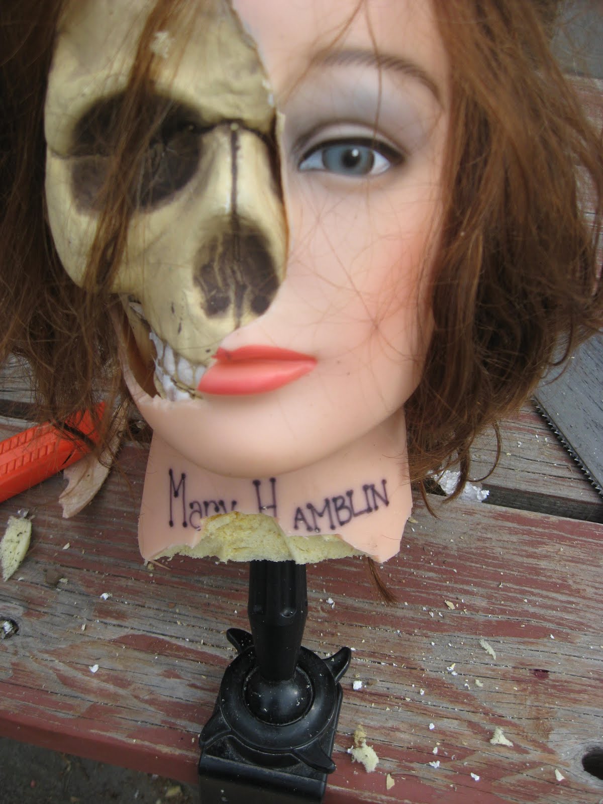 Bascombe Mania: Cosmetology Head Tutorial