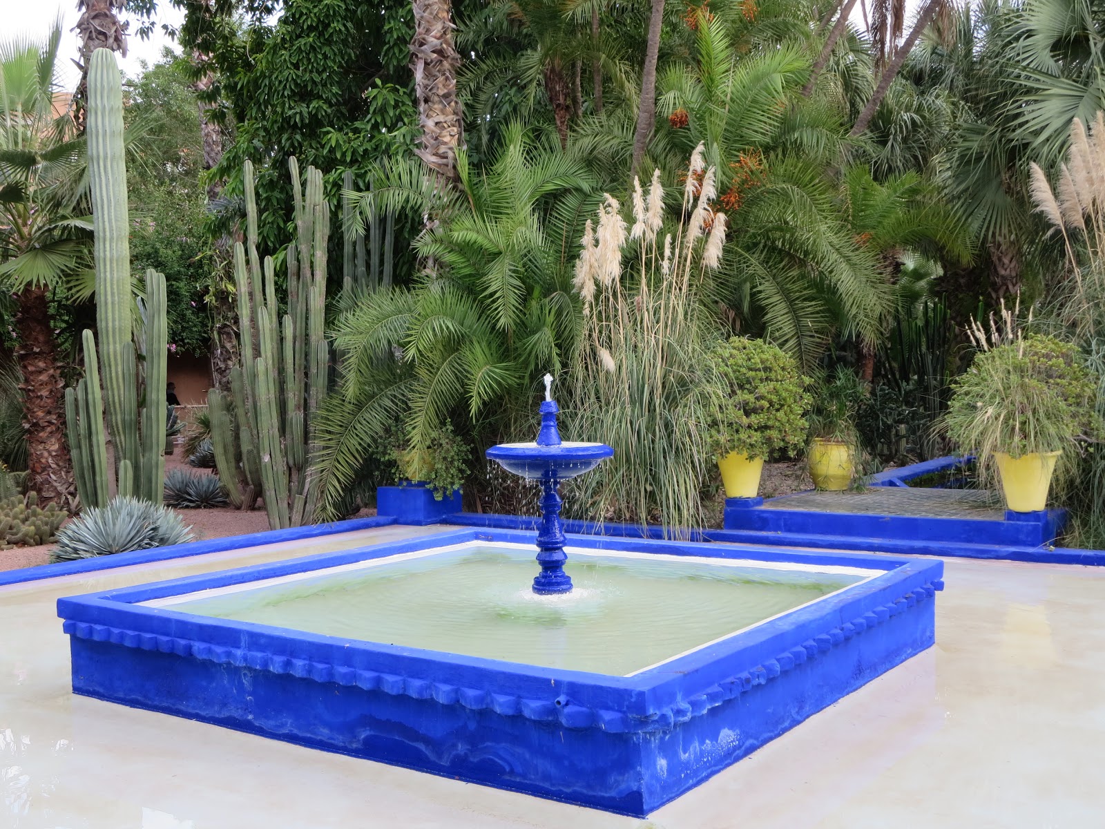 Natalie the Explorer: Postcard from Marrakesh, Morocco