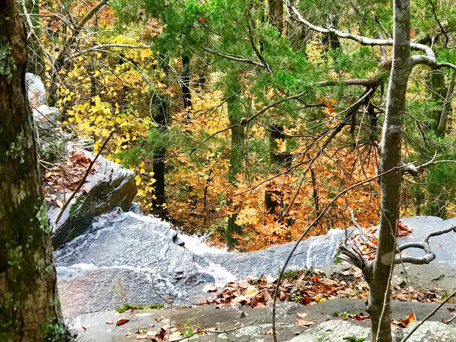 Herding Grasshoppers