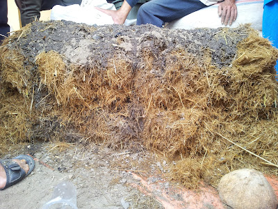 Keluarga Sejahtera: Tips Membuat Pupuk Kompos Dari Jerami Padi