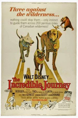 11 Bull Terrier en Películas