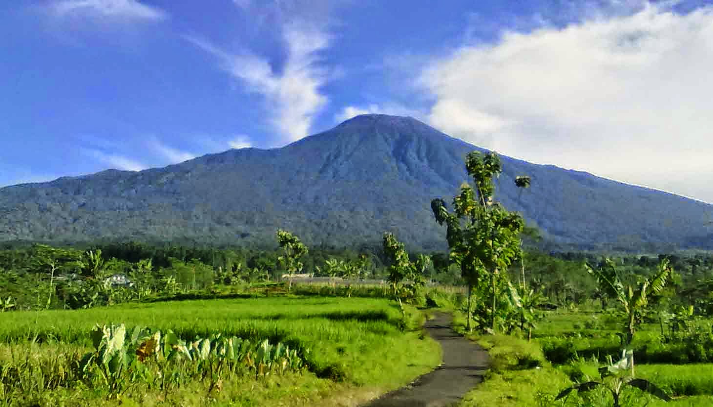 SEJARAH POPULER: Gunung tertinggi di Indonesia dan tempatnya