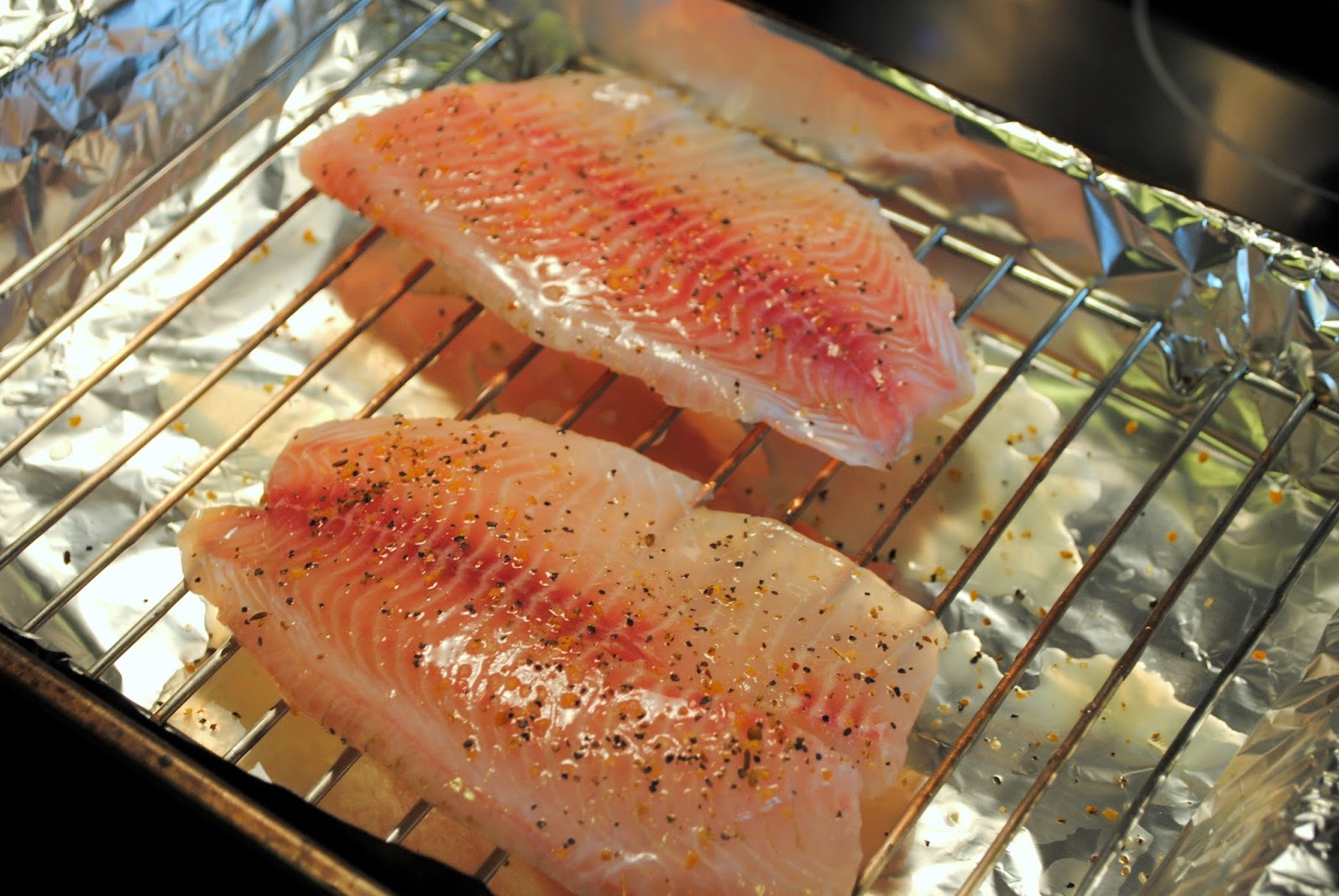 Frozen Catfish Supplier, Frozen Catfish Fillet, Catfish Fillet for sale ...