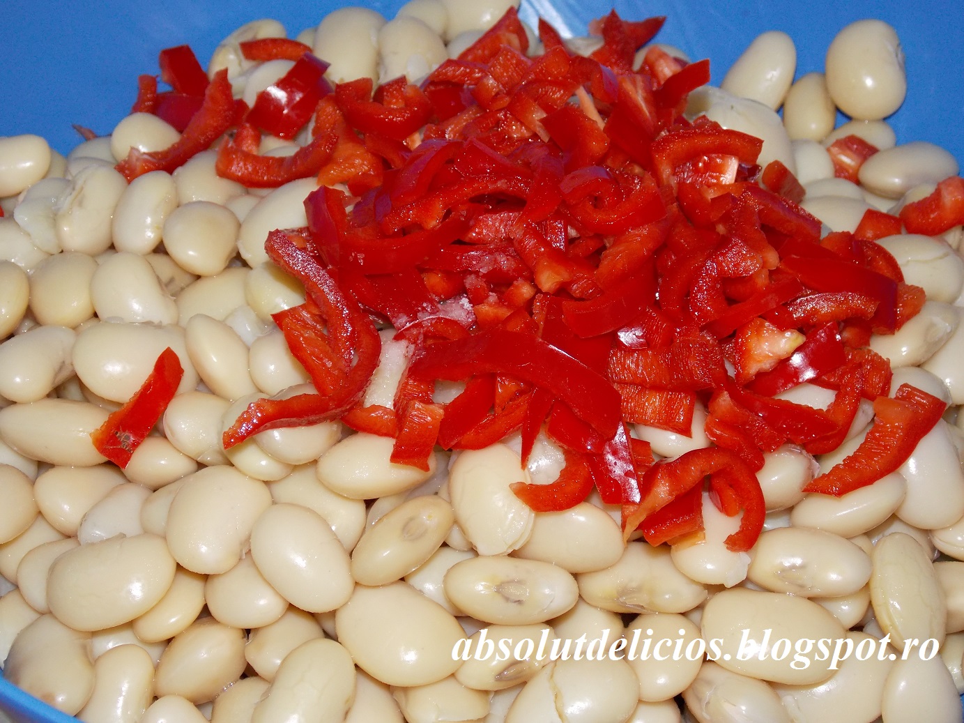 Absolut Delicios: SALATA DE FASOLE BOABE