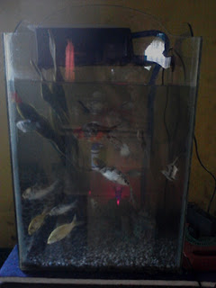 Galleries Of Knowledge And Education: Tips and Tricks In Treating The ...