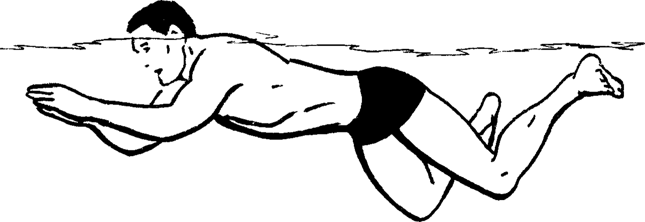 Como aprender Natación: Natación Estilo PECHO