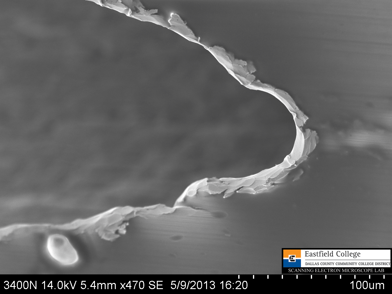 Scanning Electron Microscope Blog: How Sharp is a Hypodermic Needle?