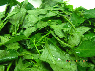 pokok herba,bunga, ulaman dan segala jenis tumbuhan: pucuk meranti