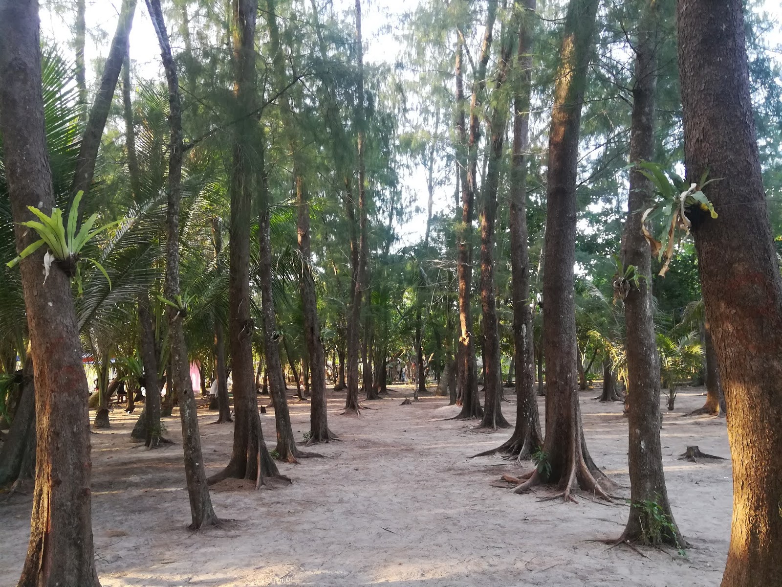 A LOCAL’S GUIDE TO GUBAT, SORSOGON: 10 Tips and Tricks for First-time ...